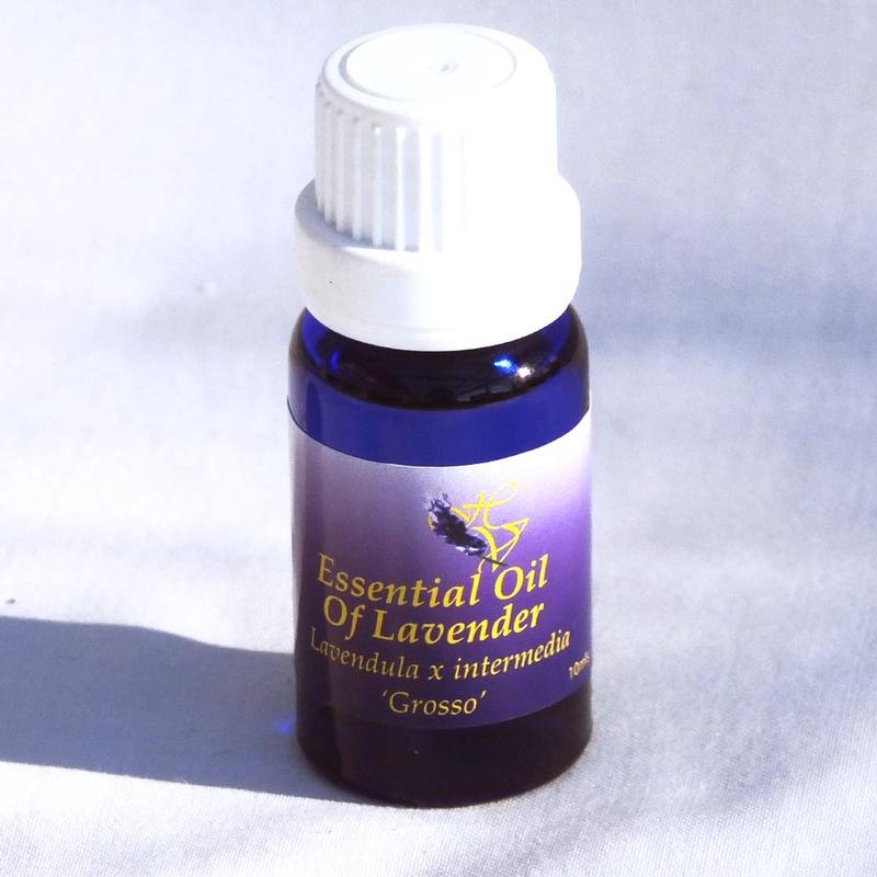 Home - Herbal Visionz Lavender